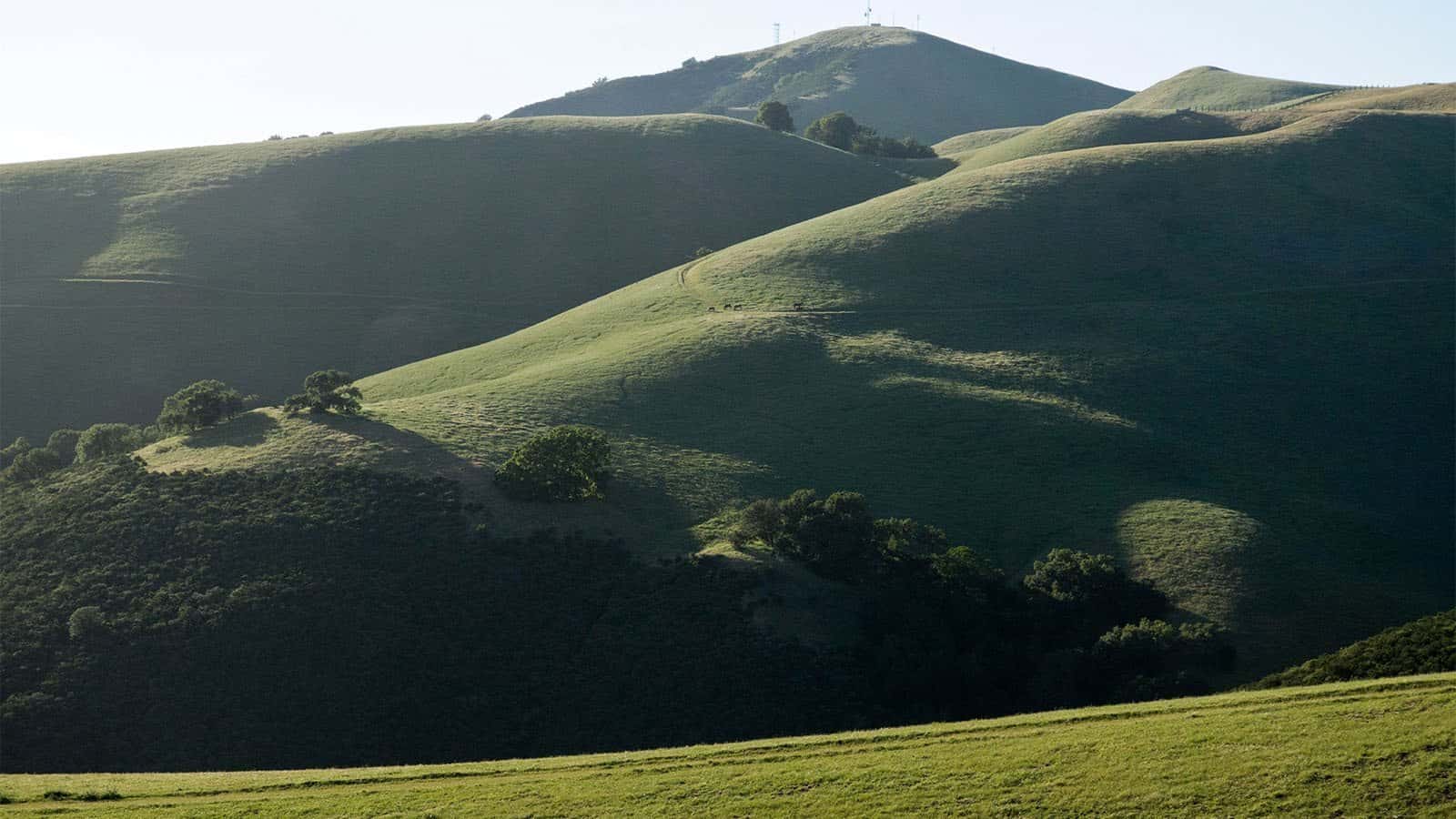 Highland Springs - Save Mount Diablo