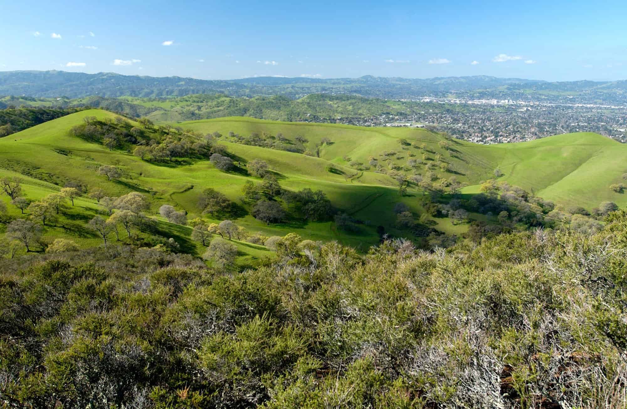Mangini Ranch - Save Mount Diablo