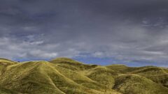 Exploring the Diablo Range - Save Mount Diablo