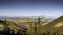 Exploring the Diablo Range - Save Mount Diablo