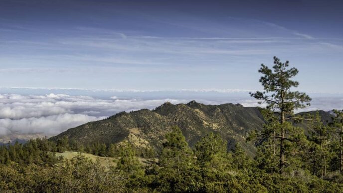 Exploring the Diablo Range - Save Mount Diablo