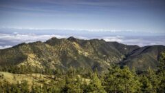 Exploring the Diablo Range - Save Mount Diablo