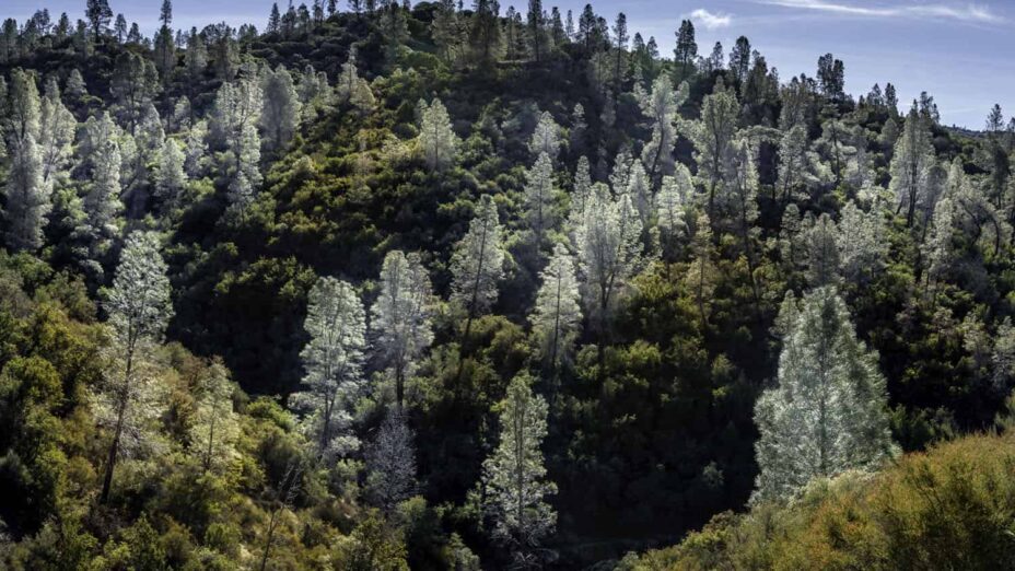 Exploring the Diablo Range - Save Mount Diablo