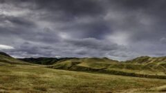 Exploring the Diablo Range - Save Mount Diablo