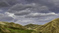 Exploring the Diablo Range - Save Mount Diablo