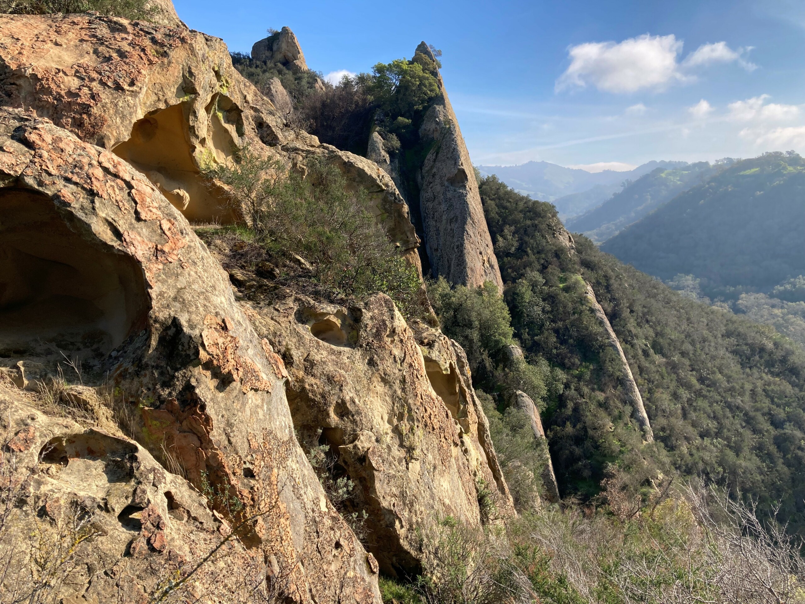 Mount Diablo State Park: Pine Canyon - Save Mount Diablo