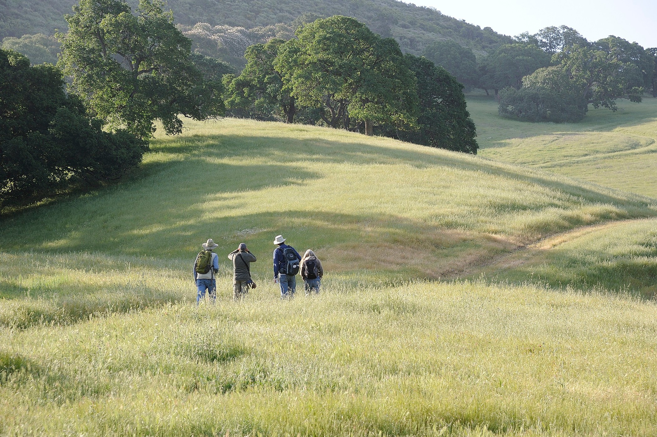Behind the Scenes at Mangini Ranch - Save Mount Diablo