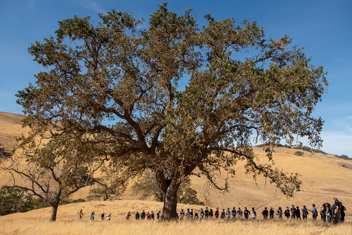Connecting Protected Lands: Save Mount Diablo Opens Miles of New Trails ...