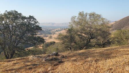 Trail Map - Save Mount Diablo