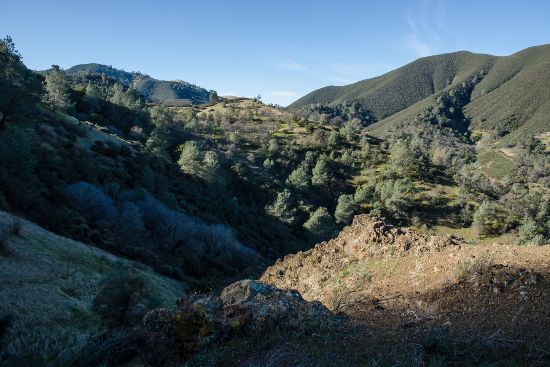 A Good Trail to Hike in Winter: Twin Peaks - Save Mount Diablo