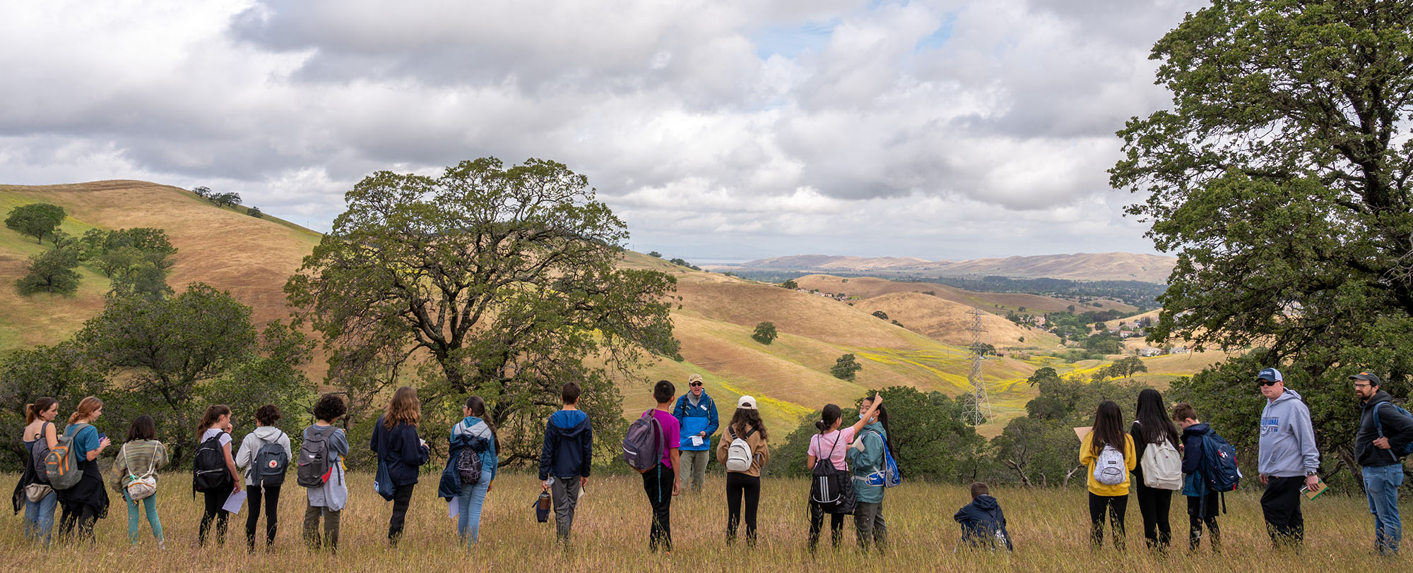 Wildflowers at Mangini Ranch Educational Preserve - Save Mount Diablo