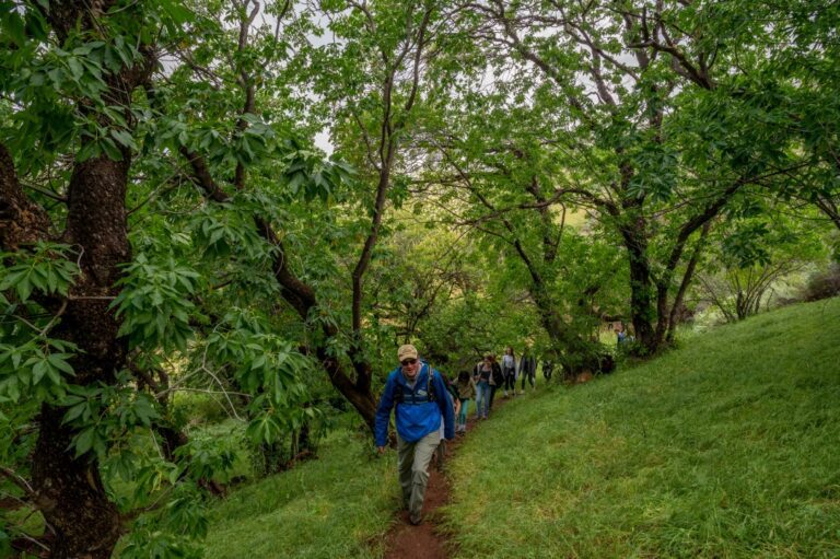 Mangini Ranch Educational Preserve - Save Mount Diablo