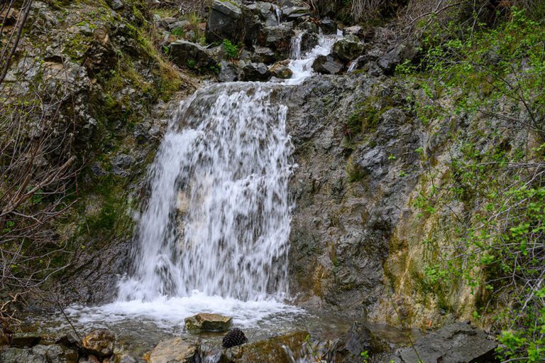 Mount Diablo State Park: Donner Canyon and the Falls Trail - Save Mount ...