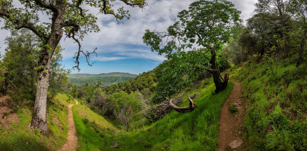 Behind the Map: How the Mount Diablo Regional Trail Map Came to Be ...