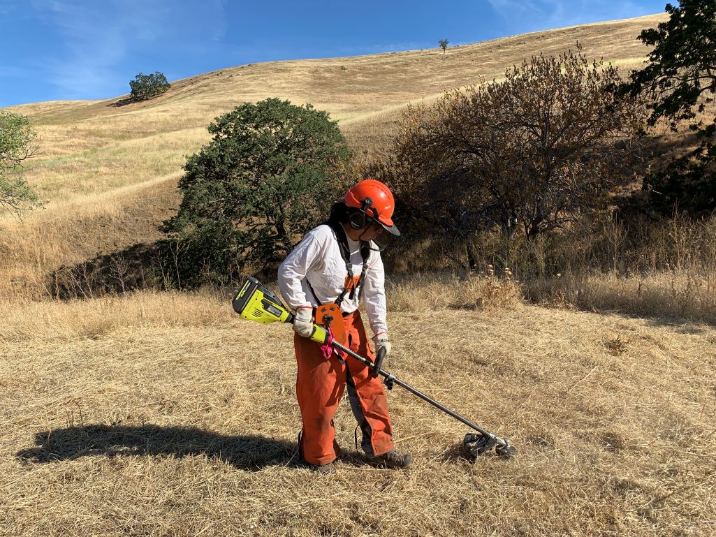 Preparing for Summer and Exploring the Diablo Range - Save Mount Diablo