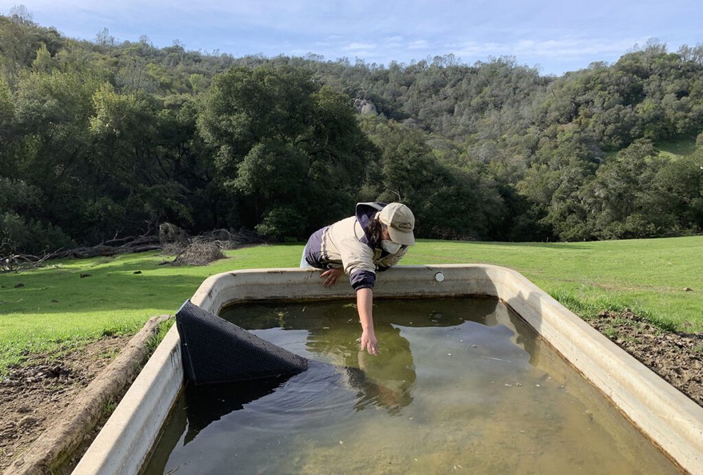 Water for Wildlife! - Save Mount Diablo
