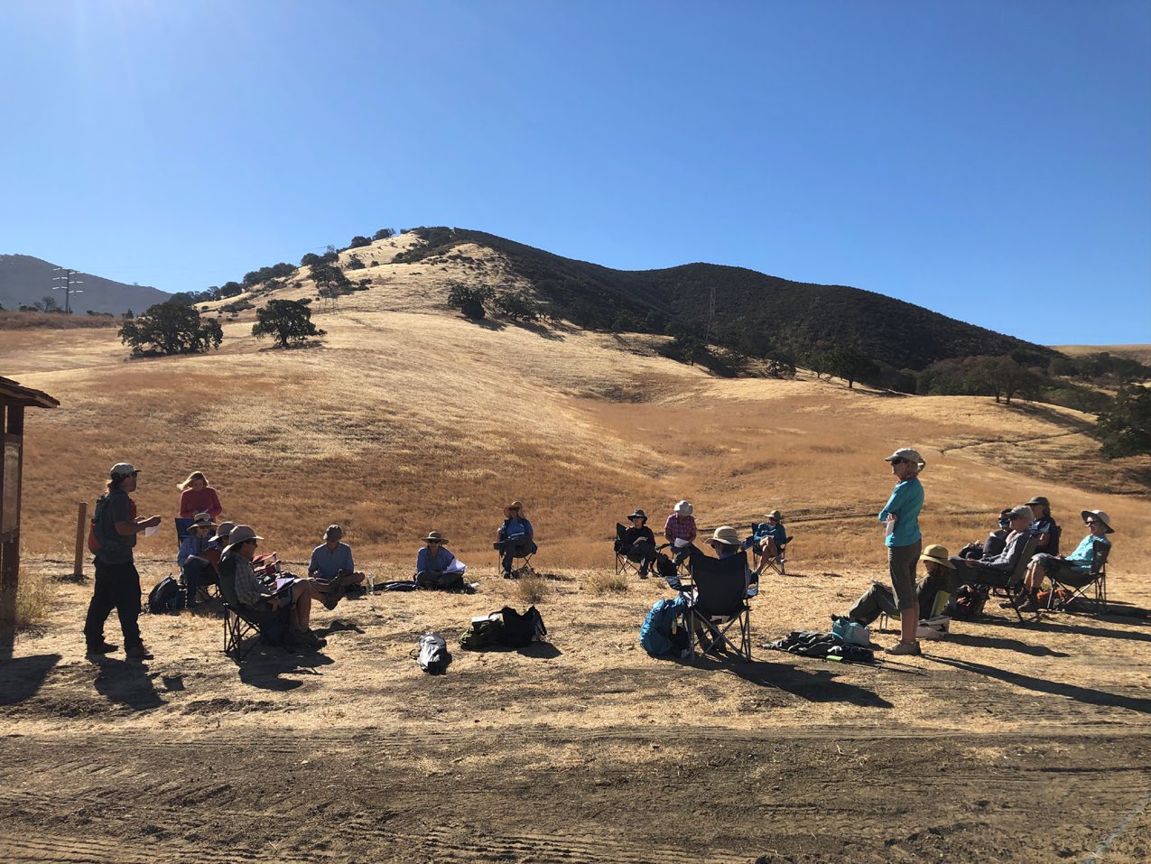 Protecting Trees, Our First Plein Air Painting Hike, and Building a ...