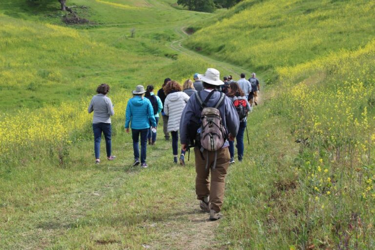New Interpretive Gardens Sprout at Mangini Ranch Educational Preserve ...