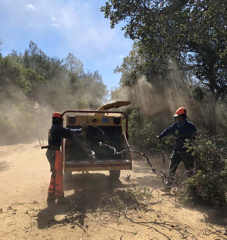 Volunteers Support State Park and Clear Dead Vegetation in Knobcone ...