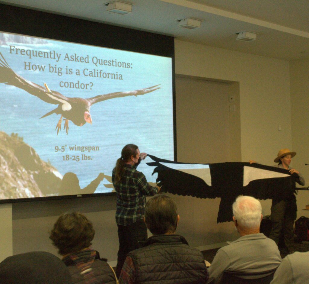 Condors, Buckwheat, and More Dazzle Guests at Our 2022 Colloquium ...