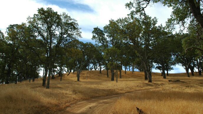 Home - Save Mount Diablo