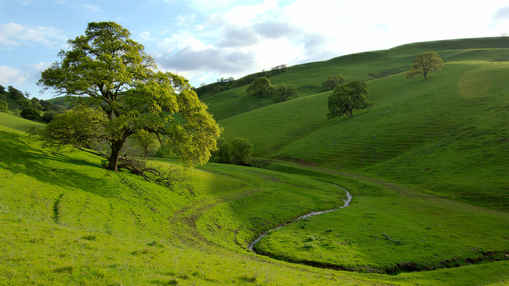 Shell Ridge Open Space: Ridge Top Trail - Save Mount Diablo