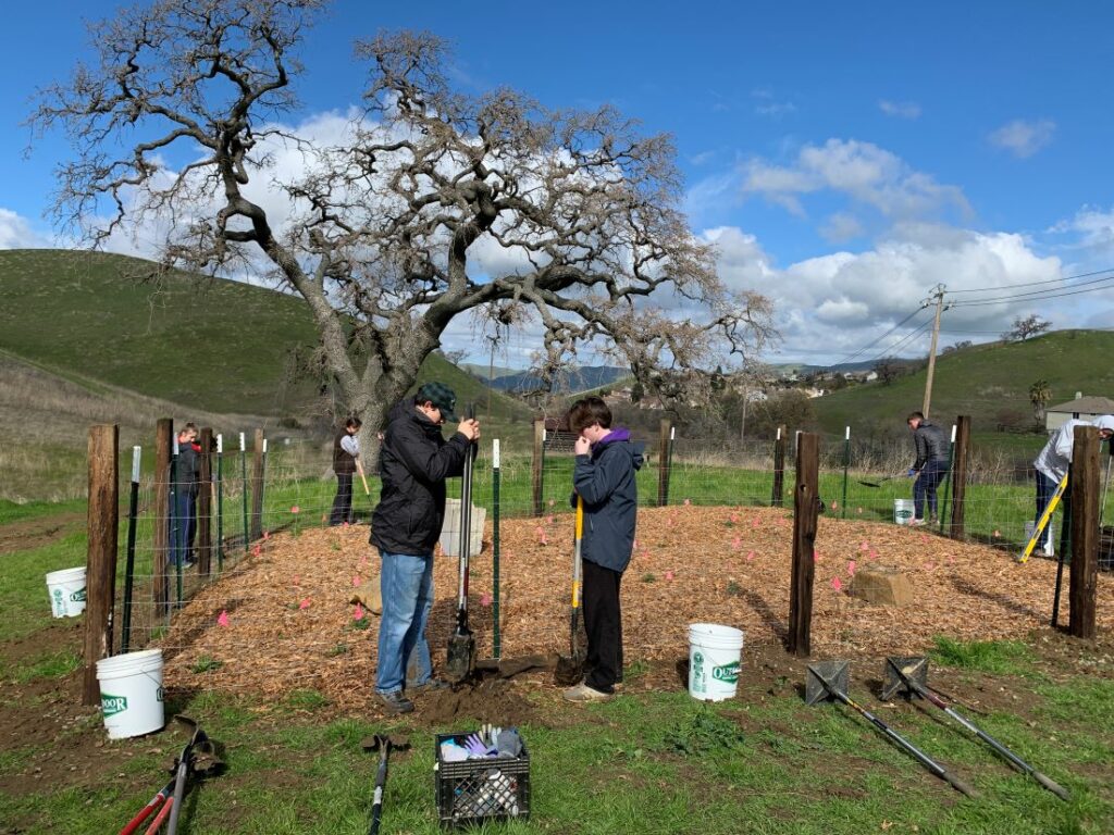 Save Mount Diablo’s Annual Report: 2022-2023 - Save Mount Diablo