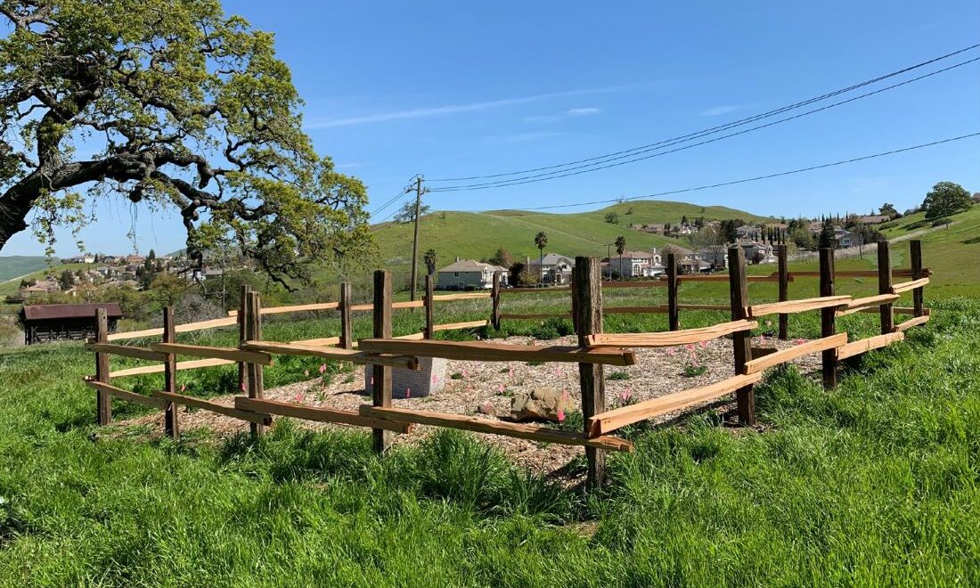 Hiking, Exploring, Building Trails and Fences, Weeding, and BioBlitzing ...