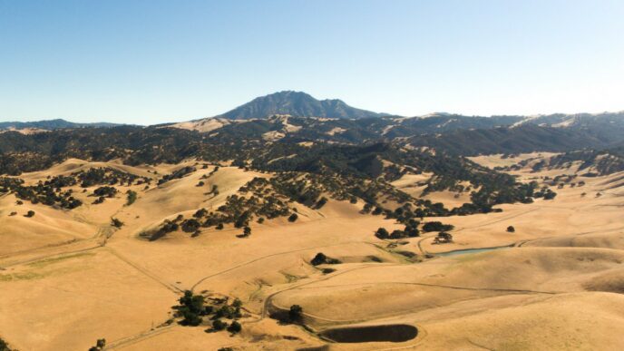 Black Diamond Mines Regional Preserve: Star Mine Trail Loop - Save ...