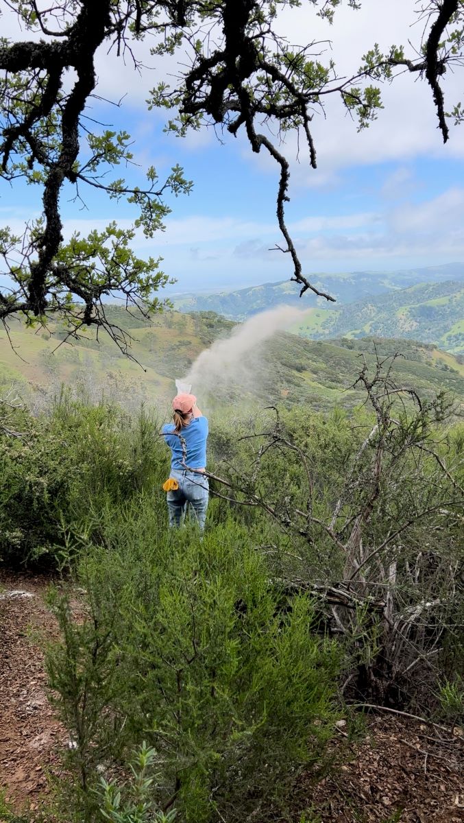 Honoring Art Bonwell - Save Mount Diablo