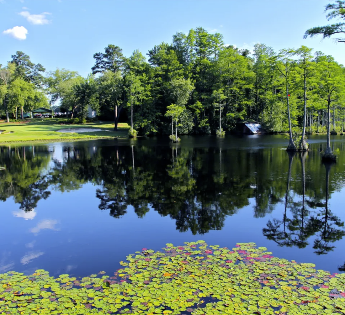 Every Kid Deserves a Pond - Save Mount Diablo