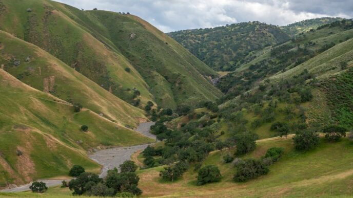 Take the Survey to Protect Tesla Area Nature! - Save Mount Diablo