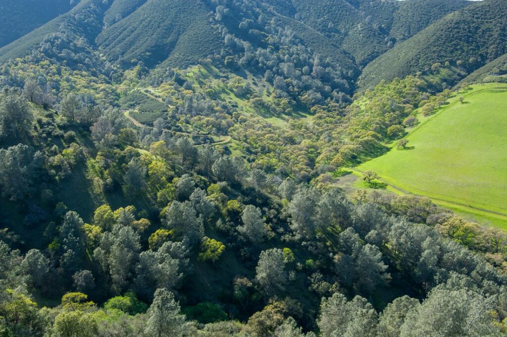 California State Parks: Break the Logjam! Expand Mount Diablo State ...