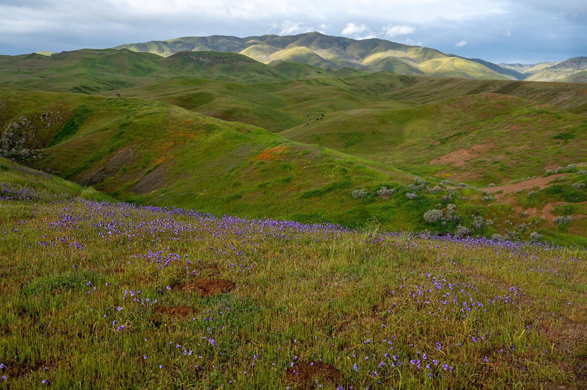 Save Mount Diablo’s Diablo Range Expansion - Save Mount Diablo