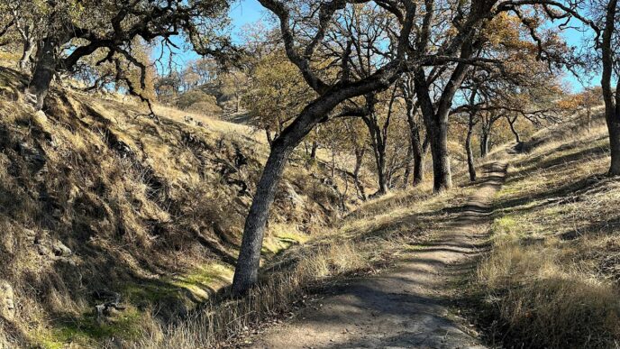 Trail Map - Save Mount Diablo