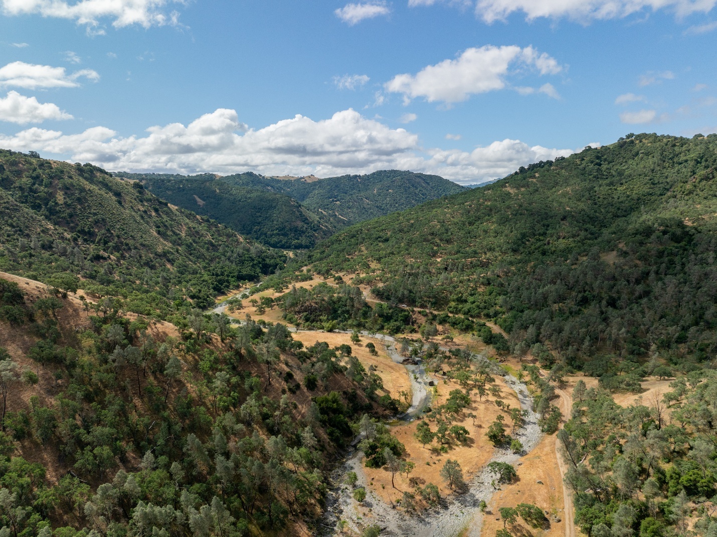 Save Mount Diablo Fights against Ridiculously Expensive Reservoir in Key Diablo Range Wildlife ...