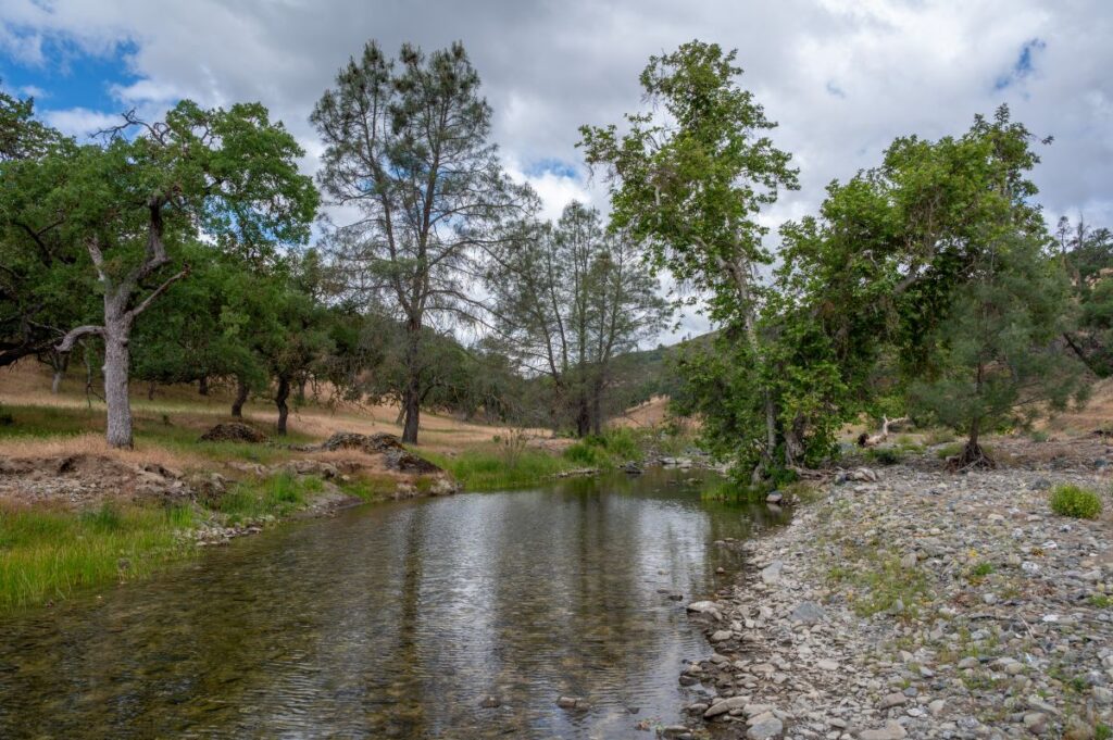 Proposal to Expand Pacheco Reservoir Stopped - Save Mount Diablo