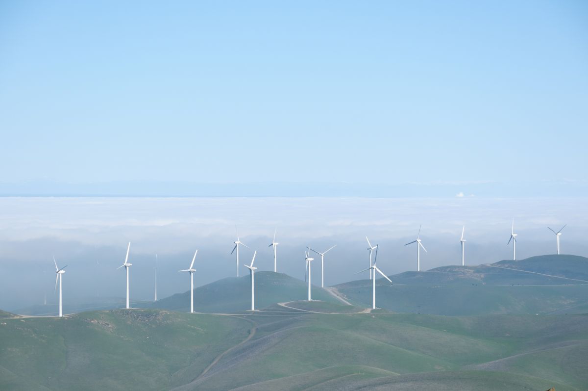 Rewilding the Altamont - Save Mount Diablo